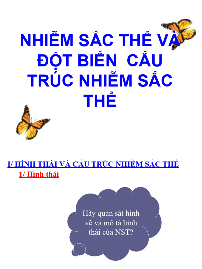 Nhiễm sắc thể và đột biến cấu trúc NST | PDF