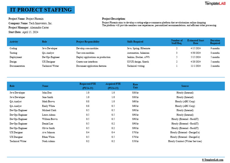 IT Project Staffing Guide | PDF | Software | Information Technology