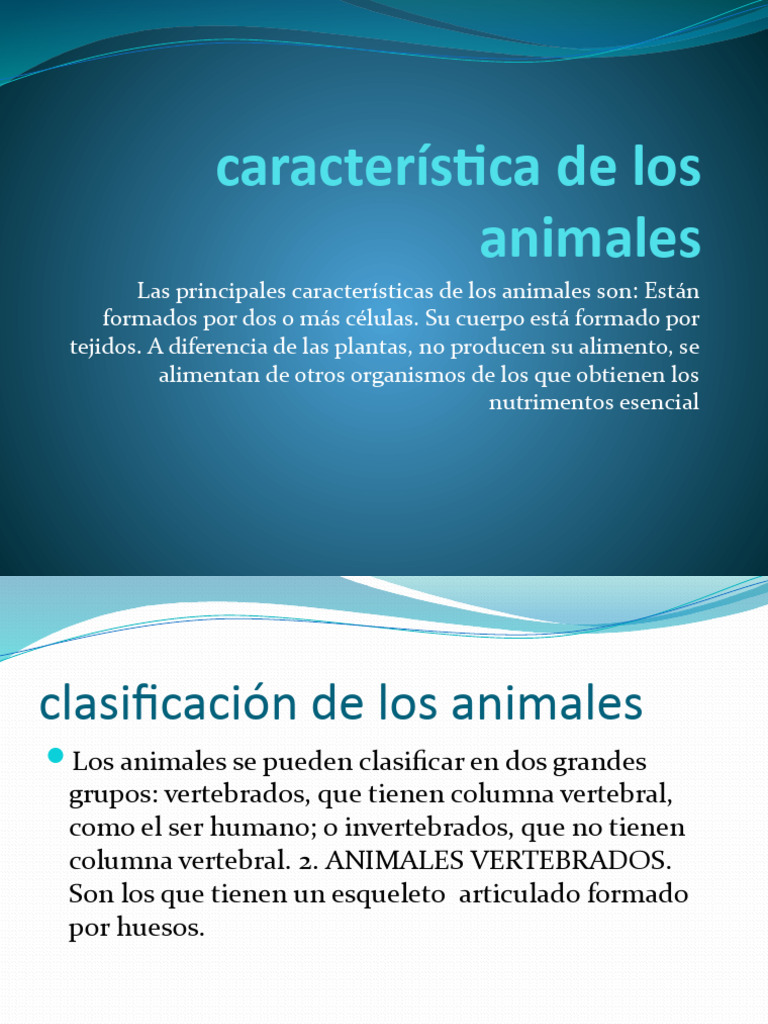 Clasificación y características de animales | PDF | Esqueleto | Vertebrados