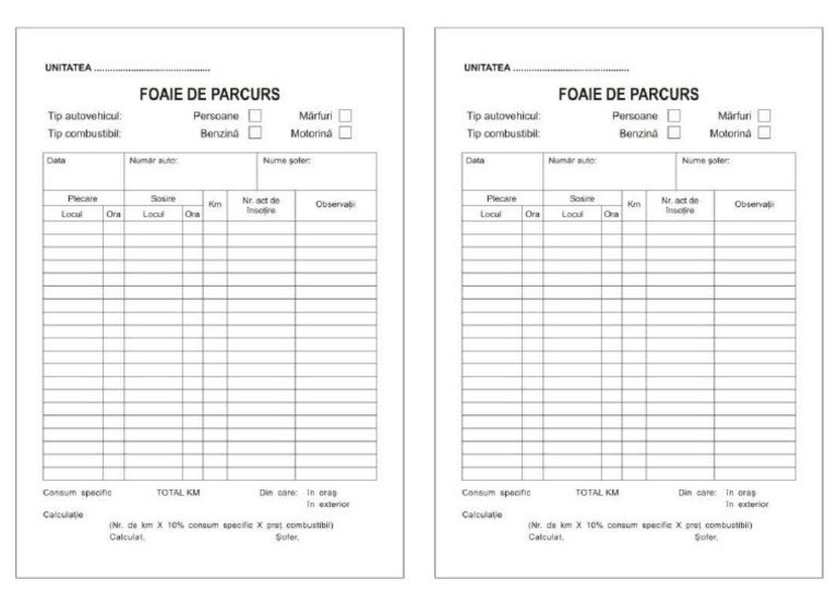 Foi de Parcurs Model | PDF