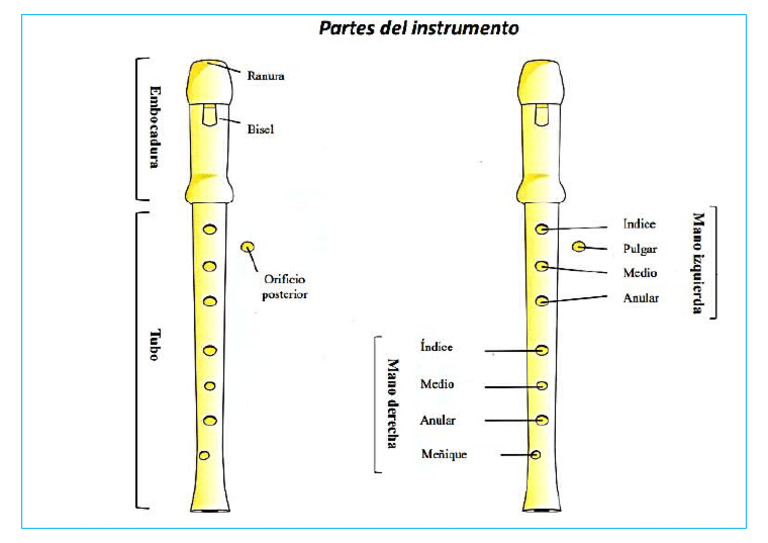 PARTES DE LA FLAUTA | PDF