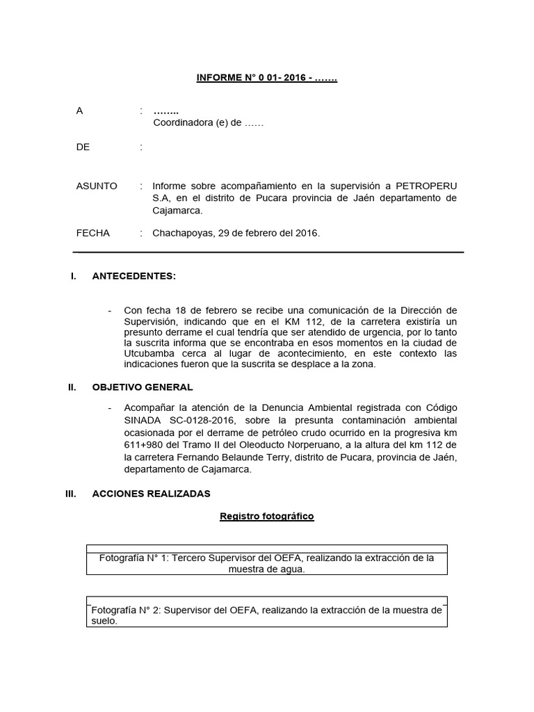 Estructura Informe Supervision | PDF