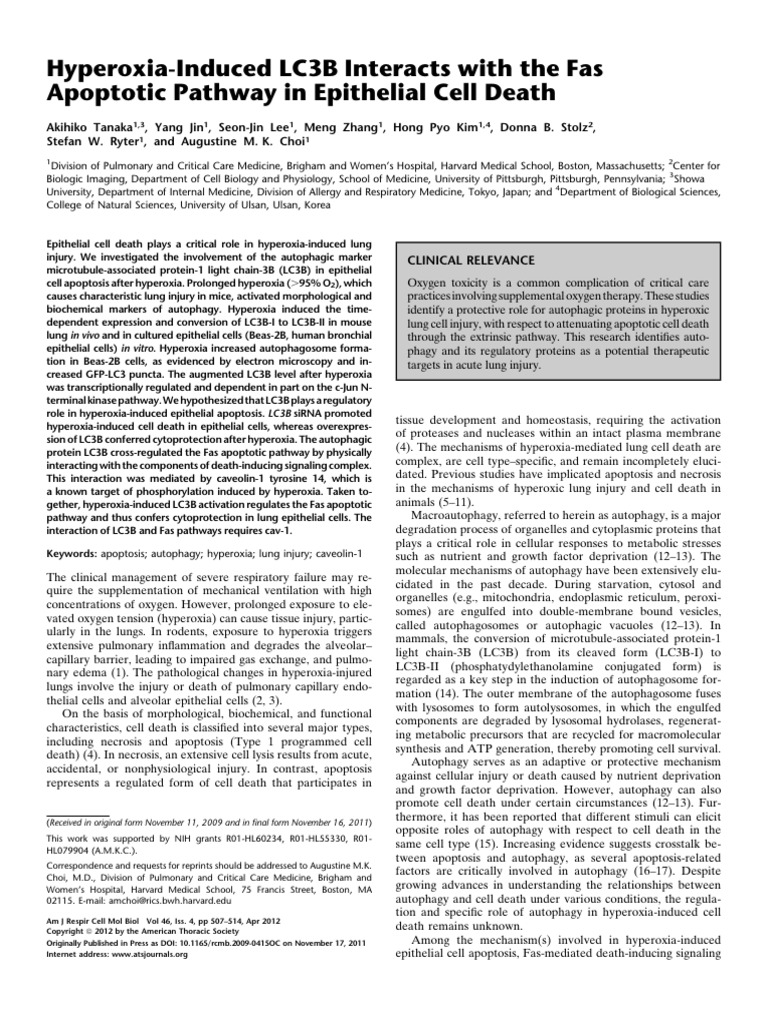 Hyperoxia-Induced LC3B Interacts With The Fas Apoptotic Pathway 2011 ...