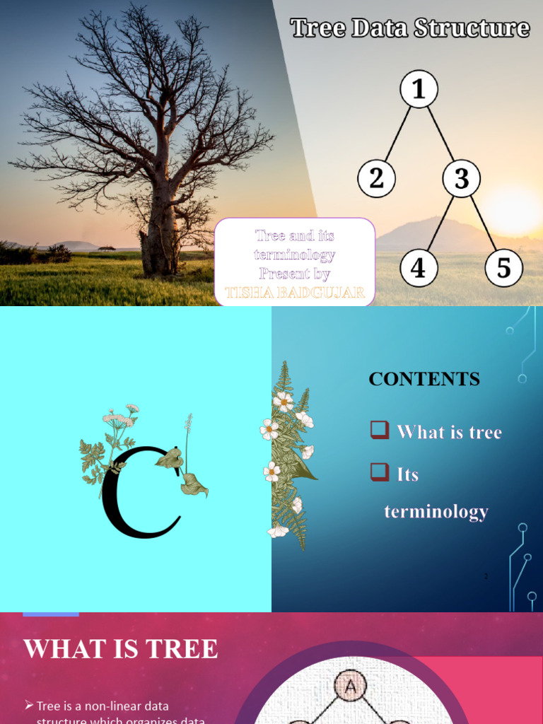 Tree Data Structure Terminology Explained | PDF | Algorithms And Data ...