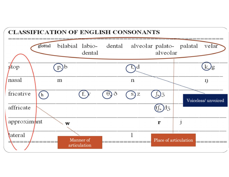 Table Consonant | PDF