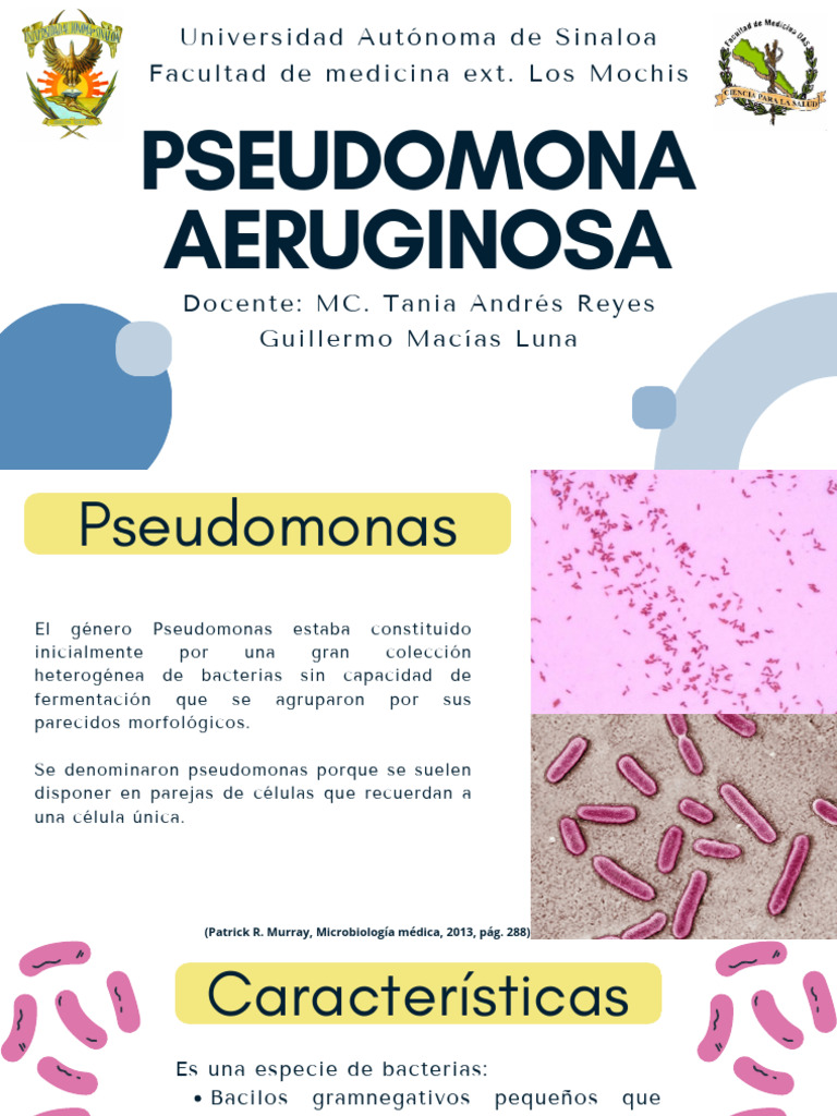 Pseudomonas aeruginosa: Infecciones y Tratamiento | PDF | Pseudomonas ...