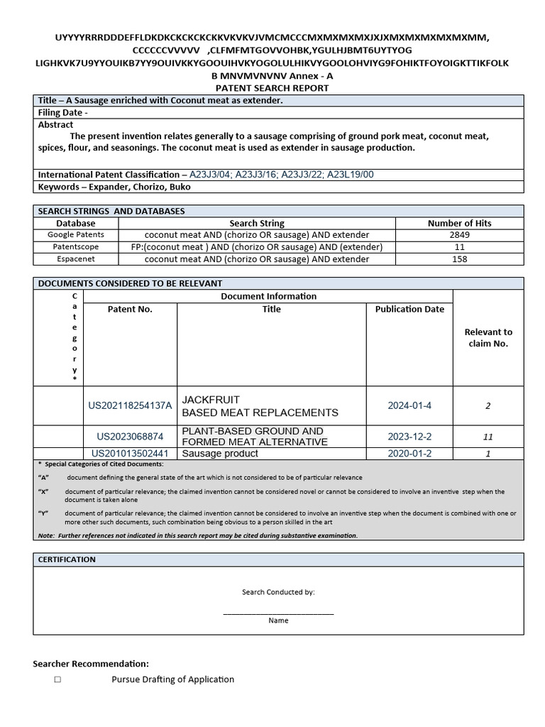 Patent Search Report Form | PDF | Sausage | Prior Art