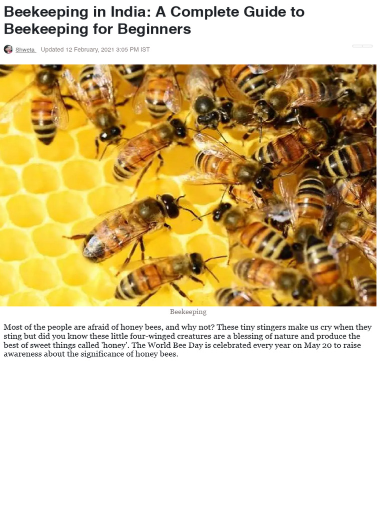 Beekeeping in India - A Complete Guide To Beekeeping For Beginners | PDF | Honey Bee | Beekeeping