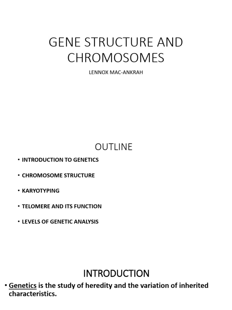 GENE STRUCTURE AND CHROMOSOMES-1 | PDF | Telomere | Genetics