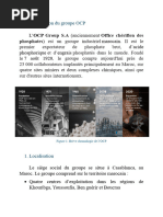 Organigramme Et Filiales de OCP | PDF