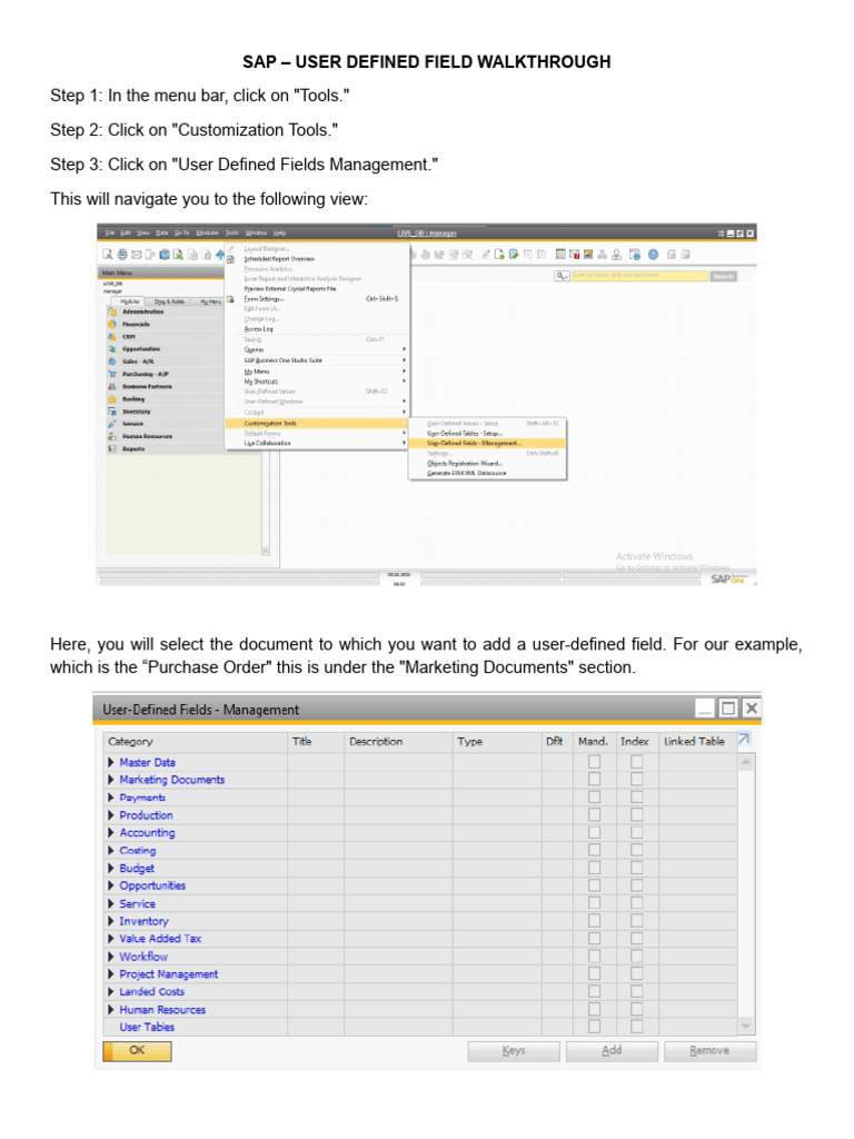 SAP B1 User Defined Fields Walkthrough | PDF | Business | Computers