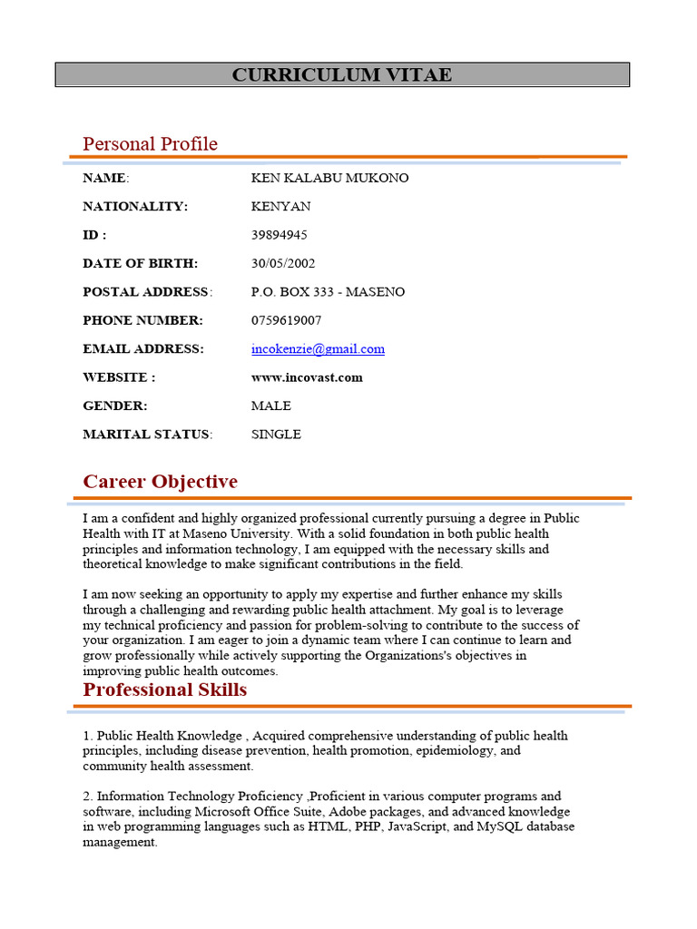 Ken Mukono Cv | PDF | Computer Network | Web Development