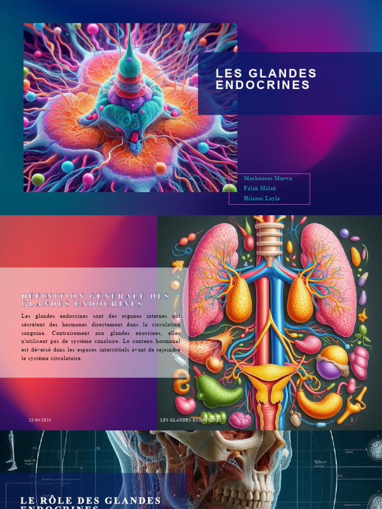 Les Glandes Endocrines | PDF | Glandes | Hormone