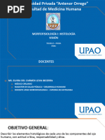 Capas de La Retina | PDF | Retina | Percepción visual