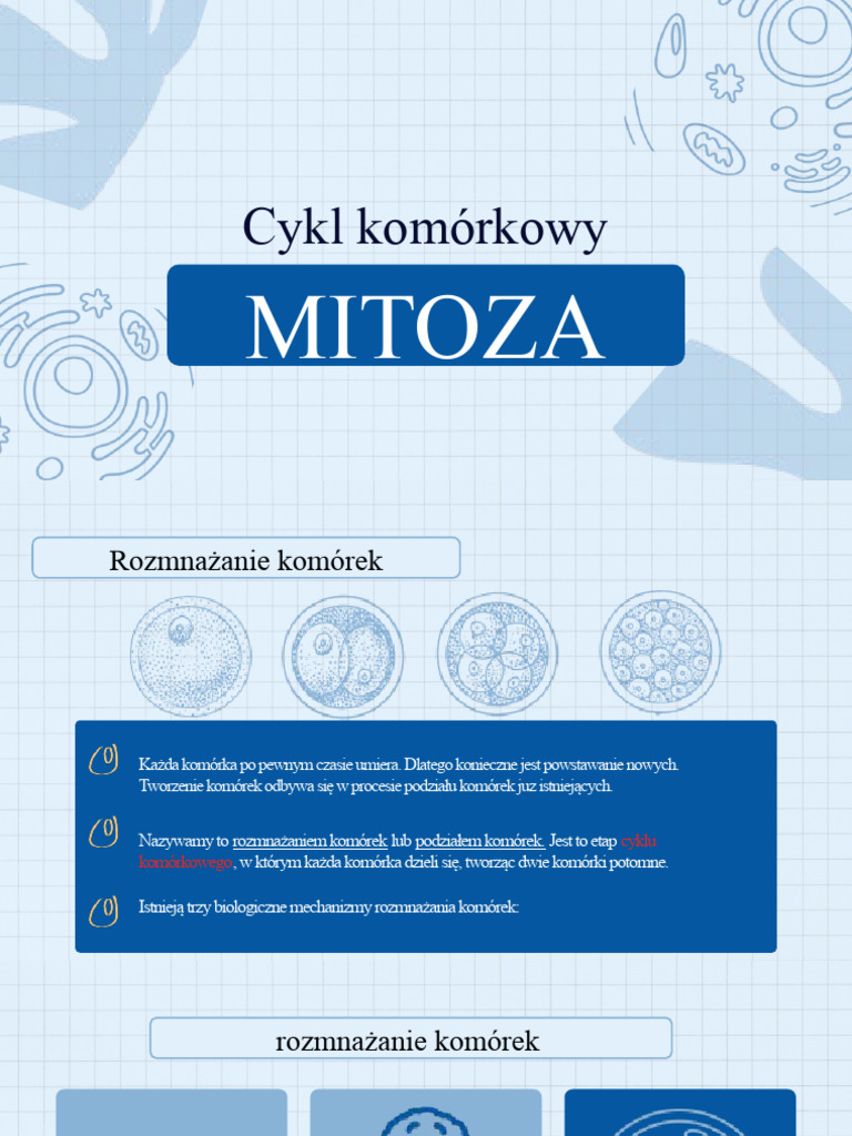 Mitoza-Prezentacja Weronika I Wiktoria | PDF