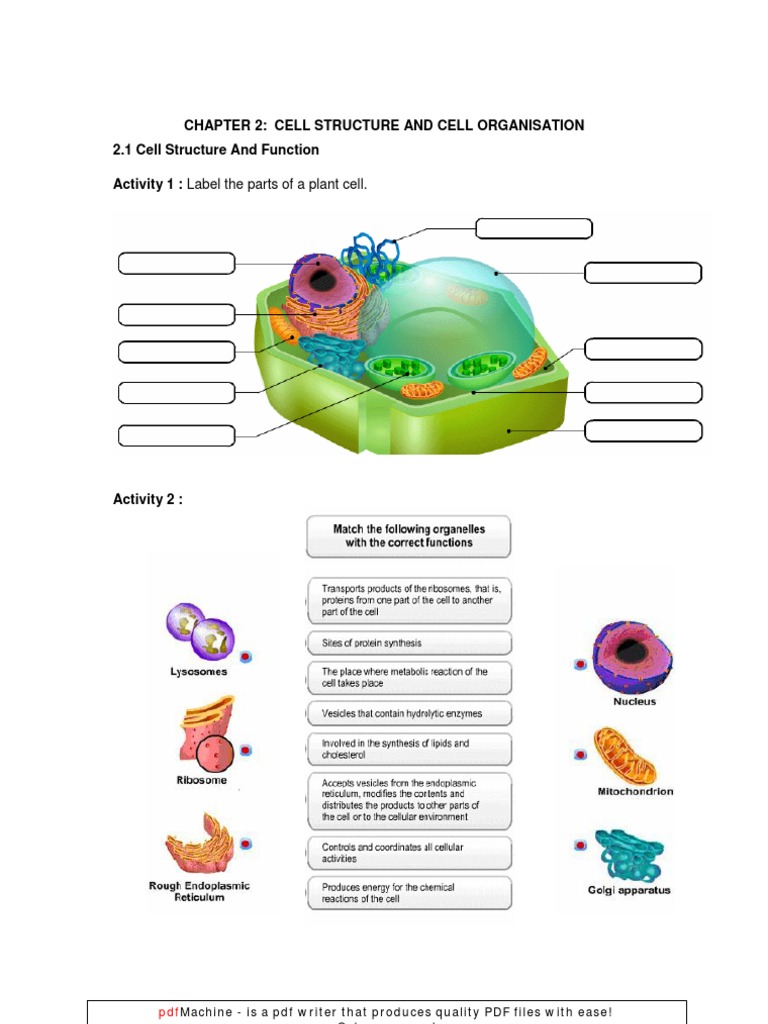 SPM Biology f4 Chapter 2 Cell Structure and Ion | PDF | Computers