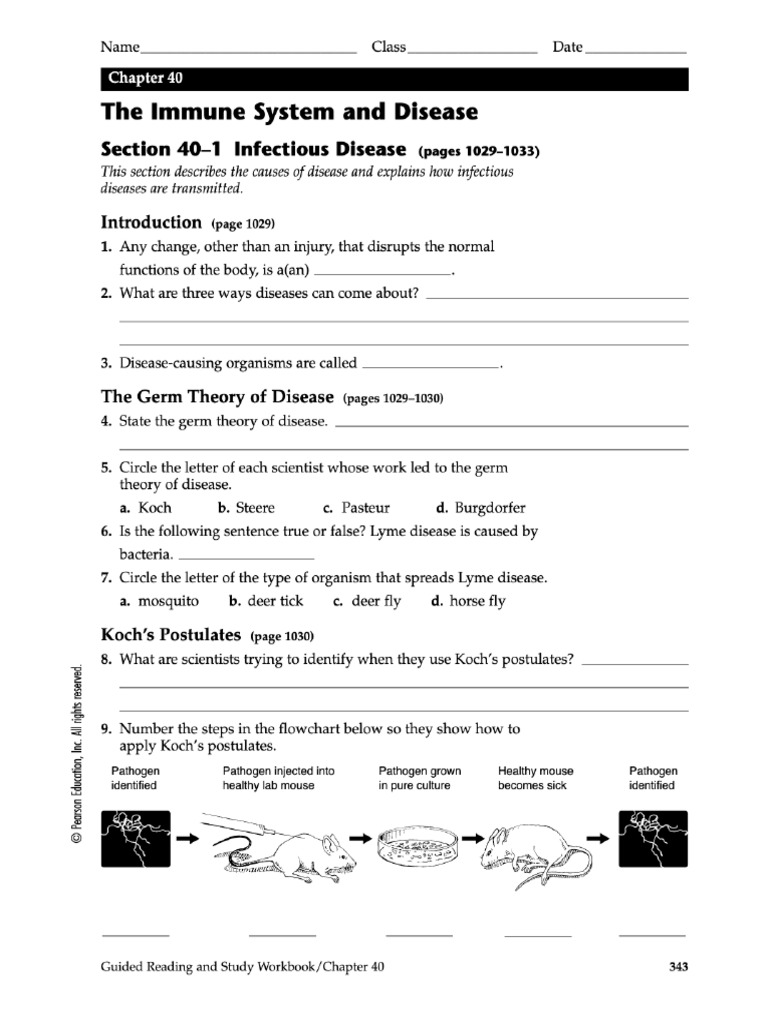 The Immune System & Figthting Desease Worksheets | PDF