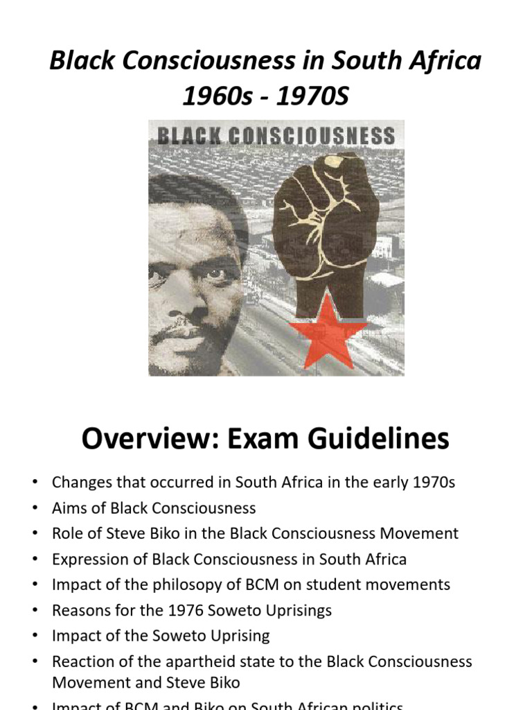 Black Consciousness Movement Overview | PDF | Apartheid | South Africa