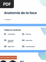 Anatomie des Muscles de la Face | PDF | Lèvre | Anatomie
