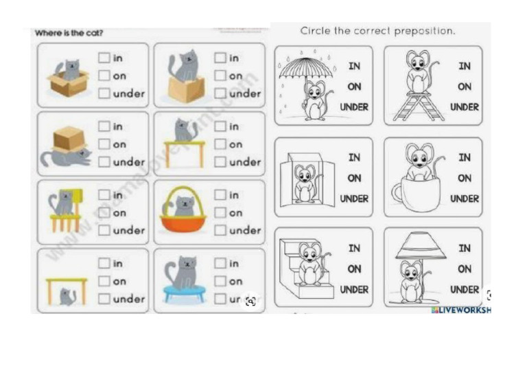 Evaluacion Ingles in On Under | PDF