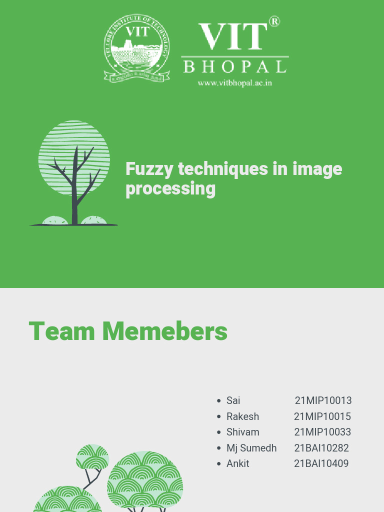 Group_13_fuzzy_techniques_in_image_processing | PDF | Fuzzy Logic ...