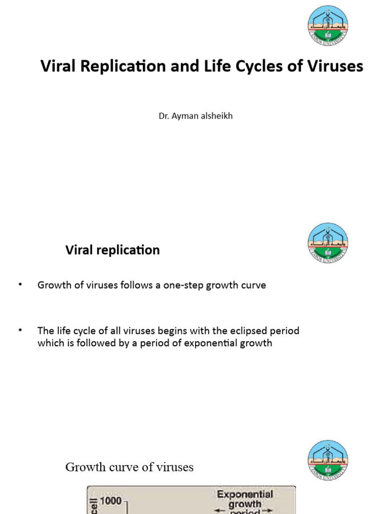 Viral Replication and Life Cycles of Viruses | PDF | Virus | Microorganism