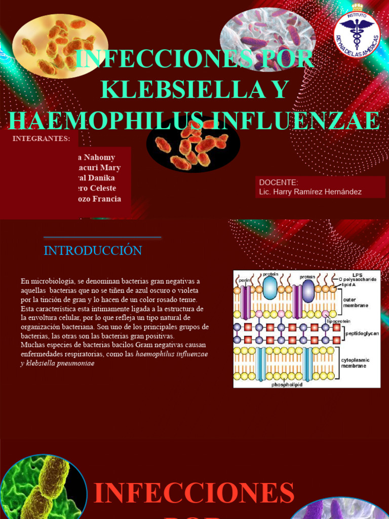 Exposicion Grupo8 | PDF | Bacterias Gram-negativo | Enfermedades y trastornos