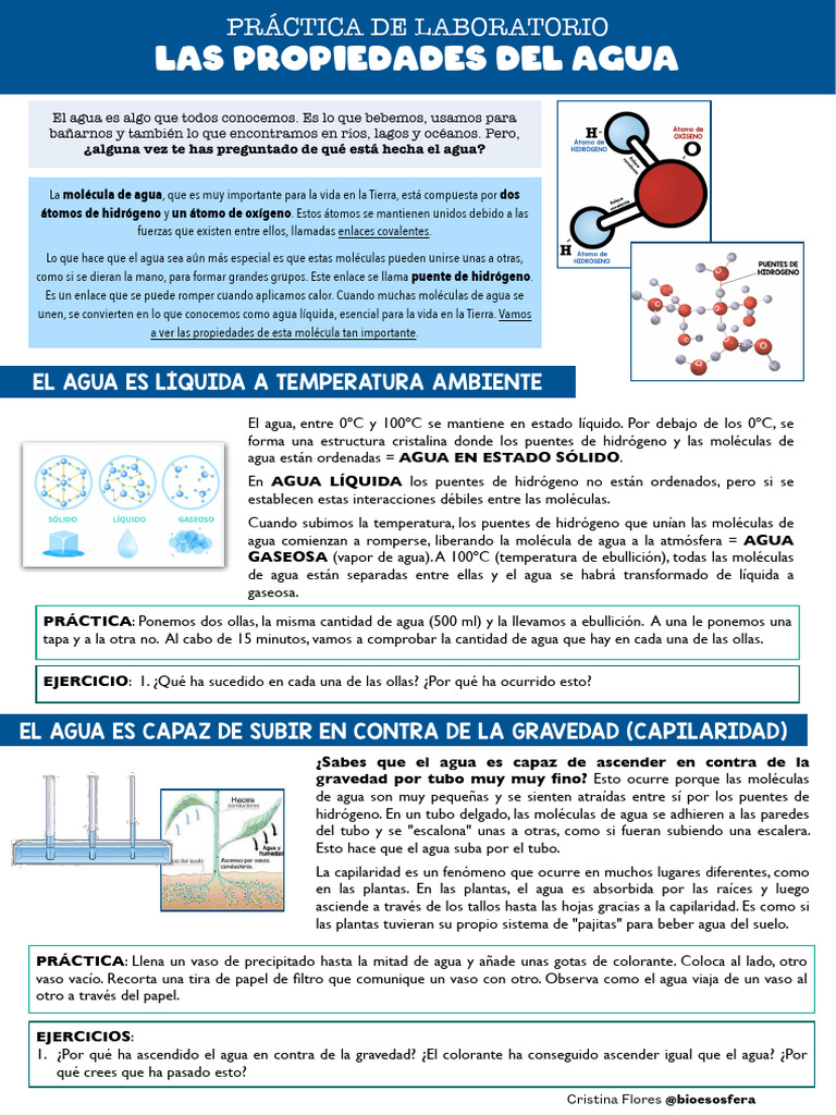 Hojas De Trabajo Sobre Las Propiedades Del Agua Las Mejores 27 Ideas