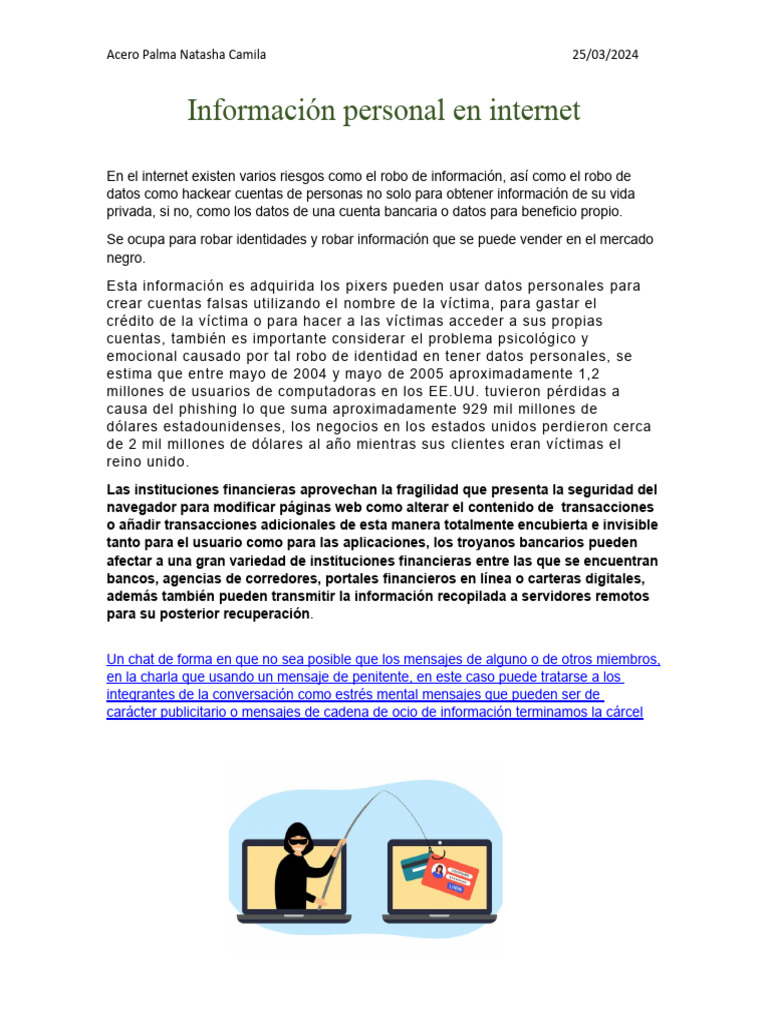 Información Personal en Internet | PDF | Internet | Edad de información