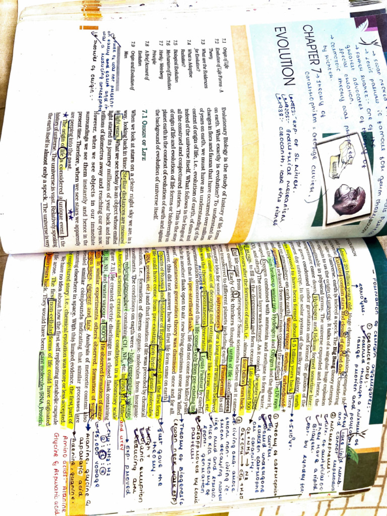 Evolution NCERT PDF | PDF