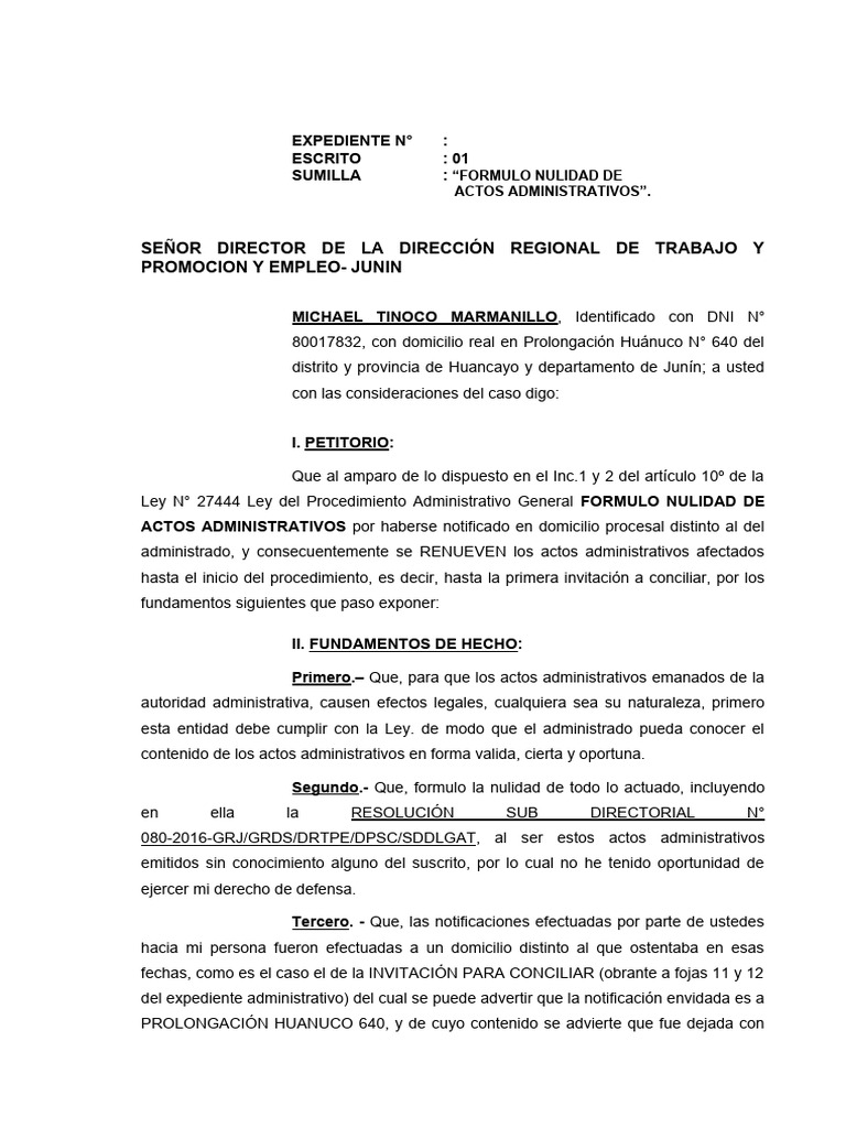 Nulidad de Actos Administrativos en Junín | PDF | Ley procesal | Nulo (ley)