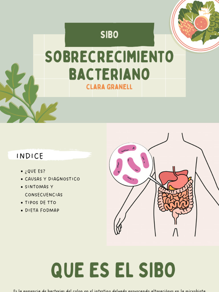 SIBO | PDF | Gastroenterología