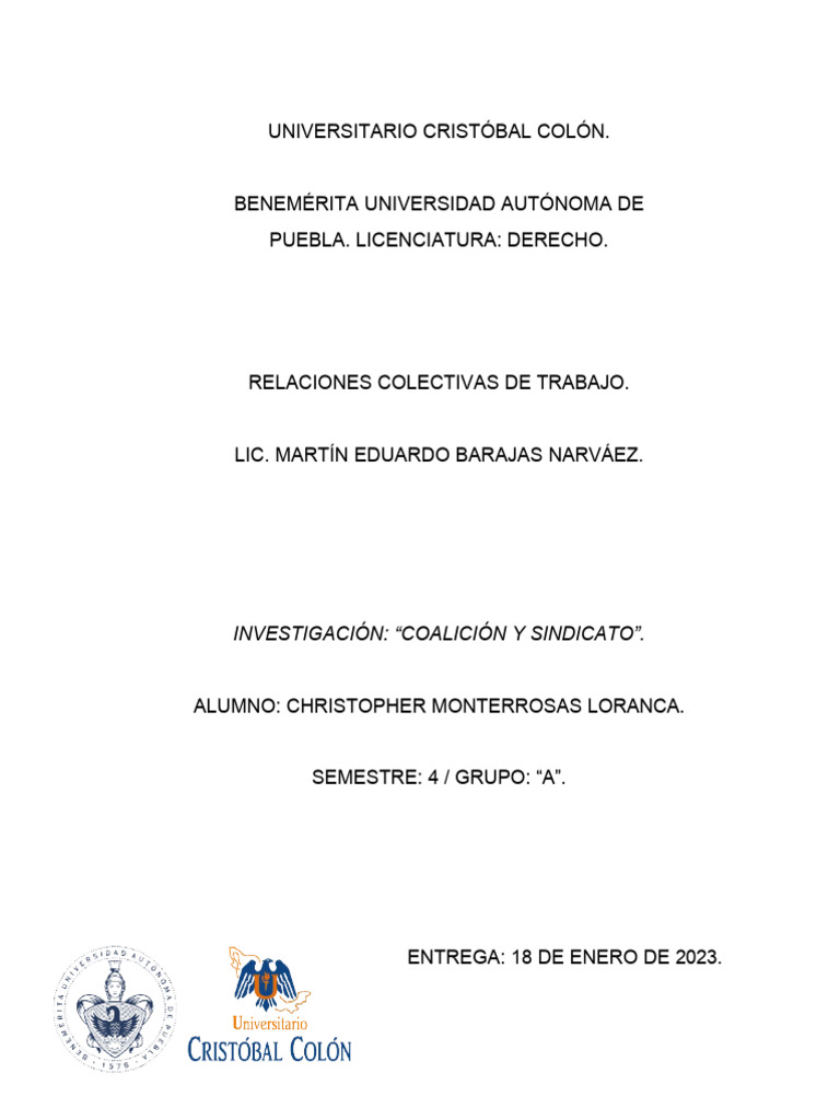 Investigaci%c3%93n Coalici%c3%93n y Sindicato Christopher m.l | PDF ...