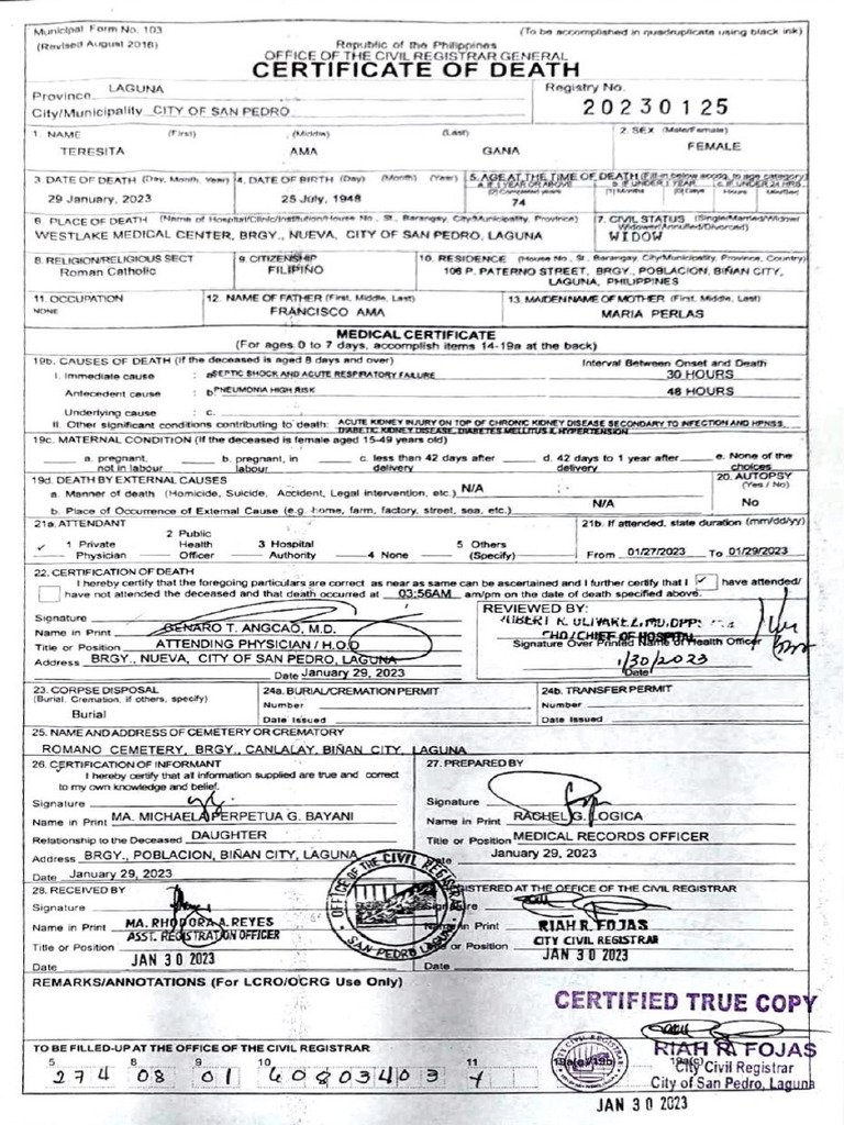 Death Certificate 2 | PDF