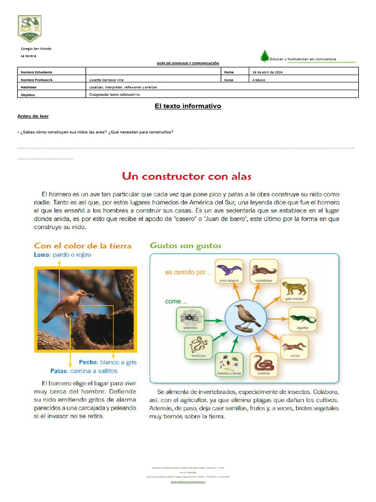 GUÍA LENGUAJE textos informativos 4 BASICO | PDF