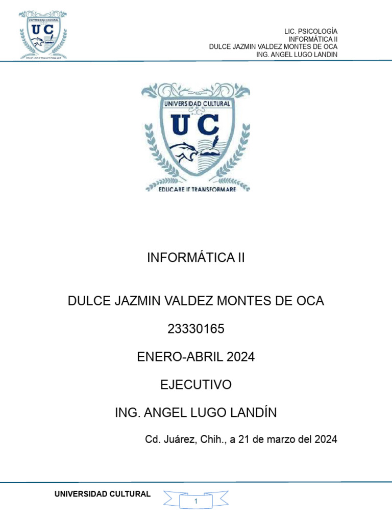 Portafolio Informatica 2 | PDF | Hoja de cálculo | Microsoft Excel