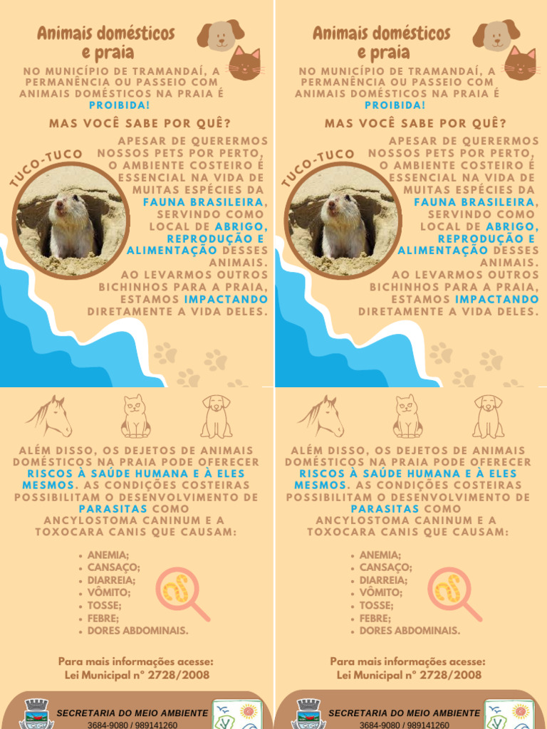 Folder - Animais Domésticos e Praia | PDF | Bem-estar | Arte