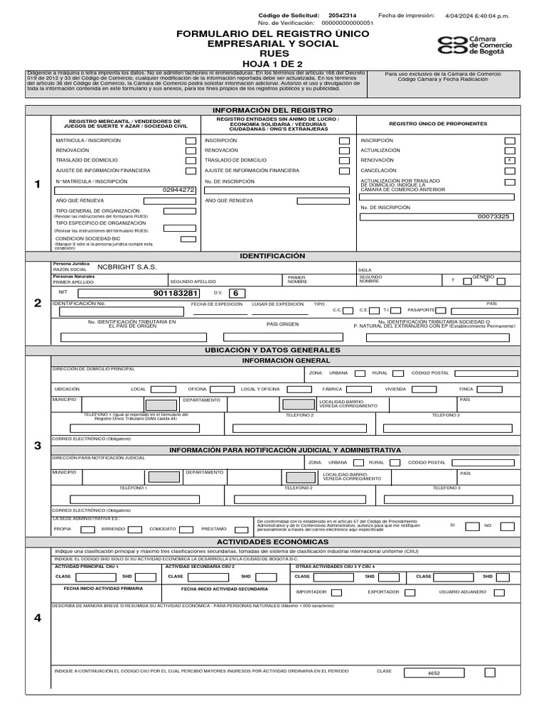 Formulario | PDF | Contabilidad | Estado financiero