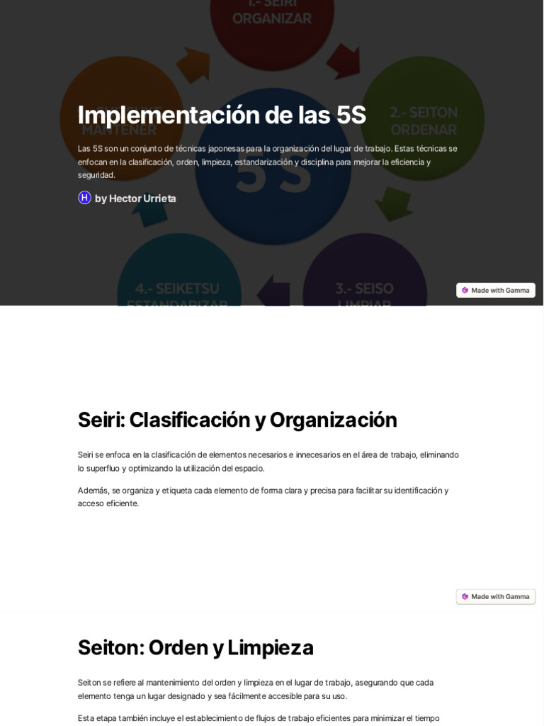 Implementacion de Las 5S | PDF | Negocios