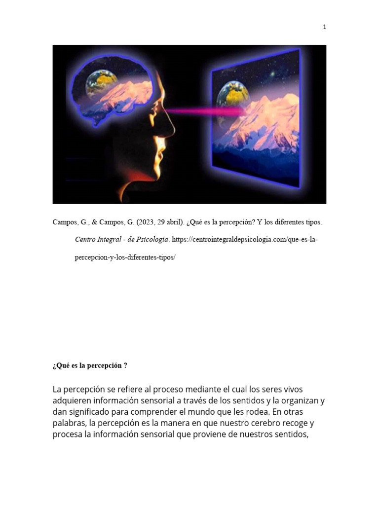 PERCEPCION | PDF | Percepción | Sentidos