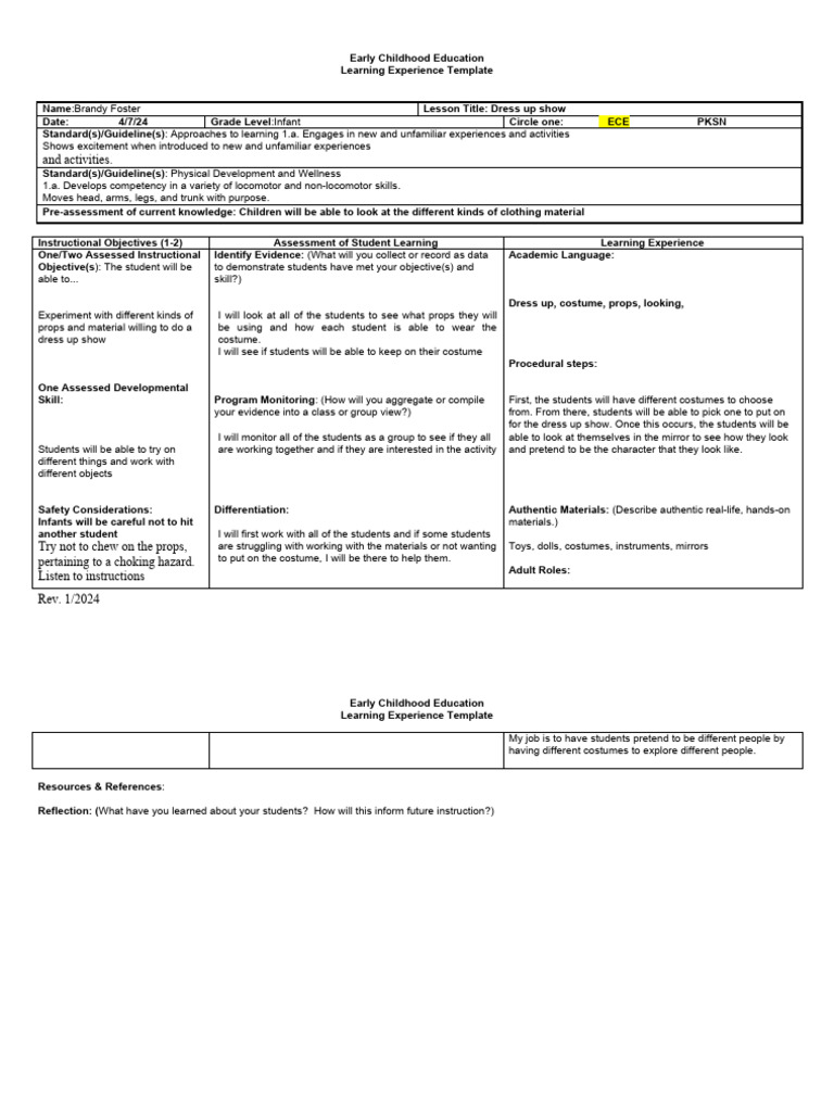 Ece Lesson Plan Template 11 | PDF | Early Childhood Education | Learning