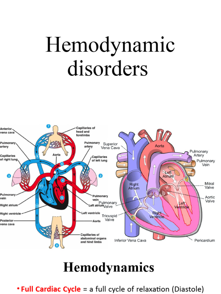Hemodynamic Disorders 2 | PDF | Thrombus | Thrombosis