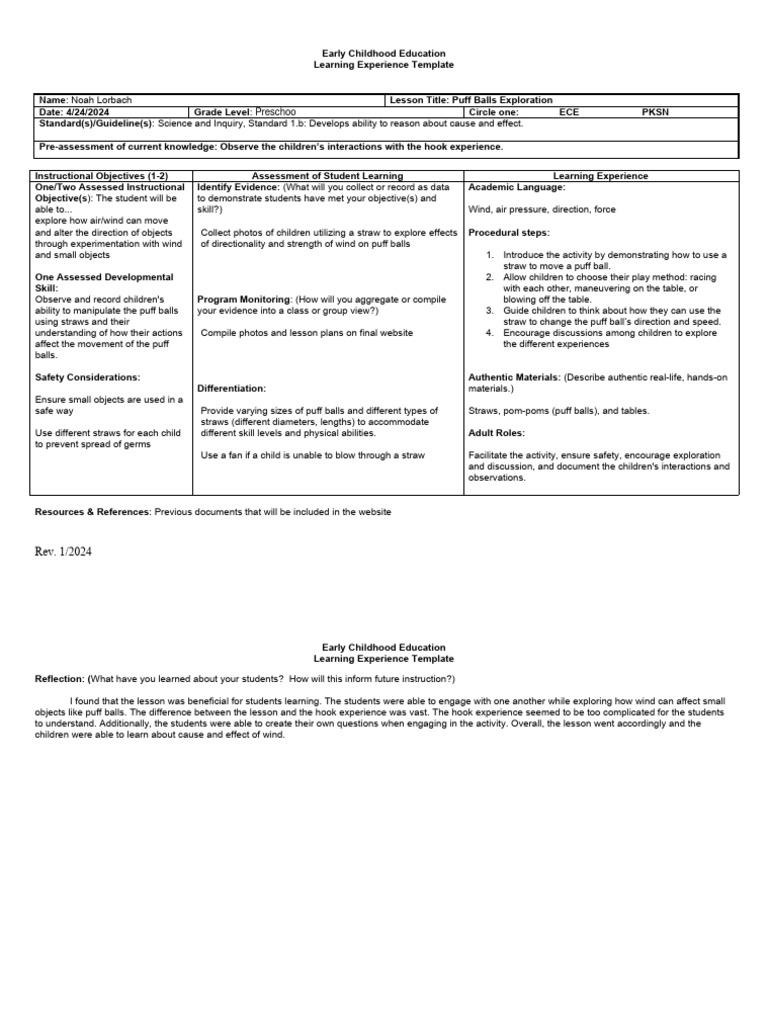 Final Lesson Plan 313 | PDF | Early Childhood Education | Learning