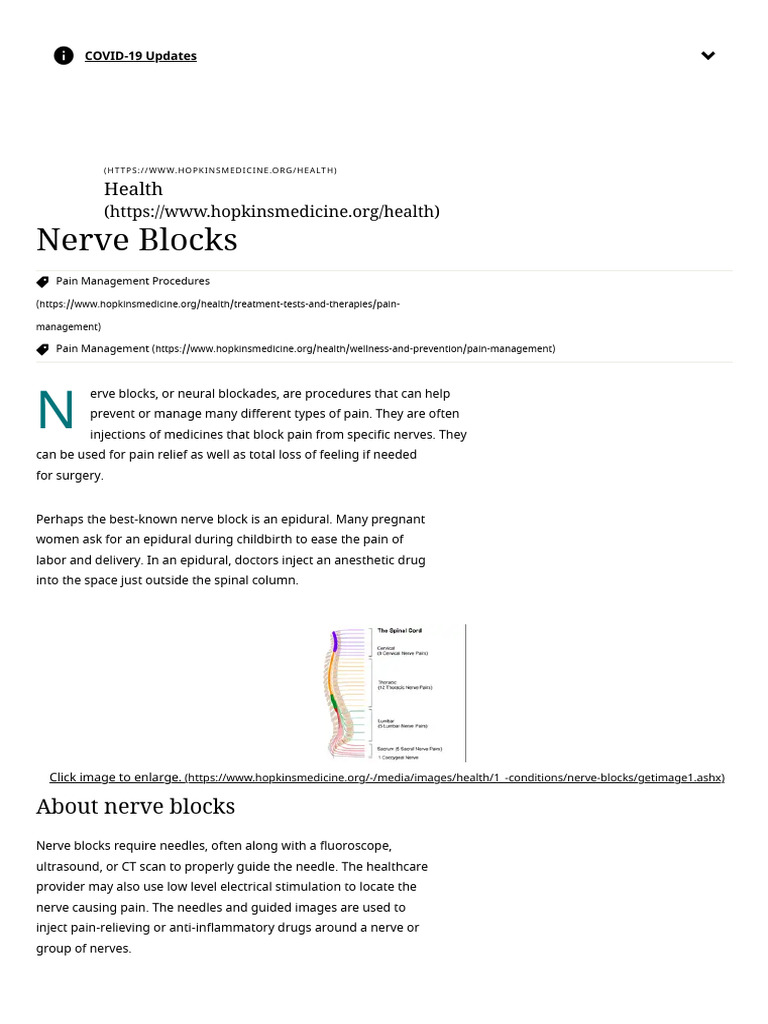 Nerve Blocks - Johns Hopkins Medicine | PDF | Pain | Anesthesia