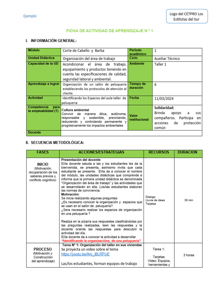 Modelo Ficha de Actividad de Aprendizaje | PDF | Evaluación | Metacognición