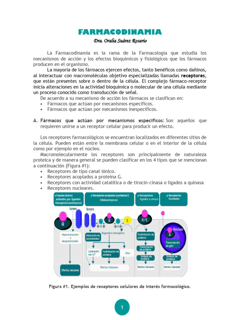Resumen Farmacodinamia | PDF | Farmacología | Receptor (Bioquímica)