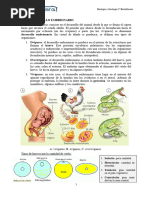 Etapas del Desarrollo Embrionario Animal | PDF | Zoología | Ciencias de ...