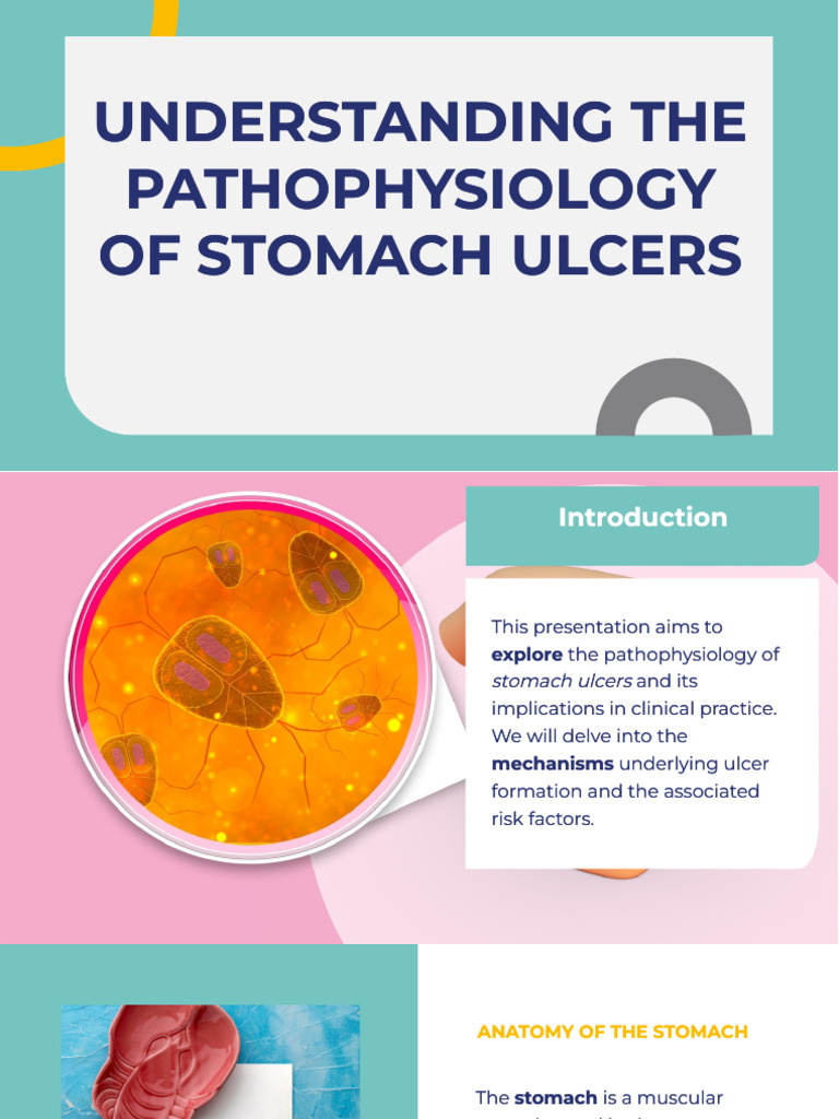 Understanding The Pathophysiology of Stomach Ulcers | PDF | Stomach ...