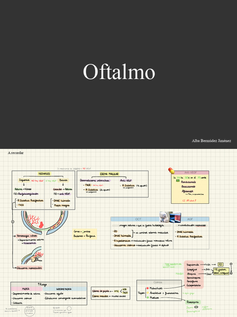 Oftalmo | PDF | Visión | Sistema visual