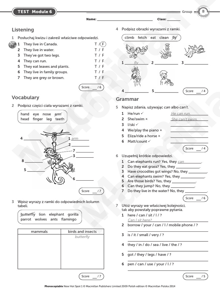 New Hot Spot 4 Module 6 Test B | PDF | Birds | Zoology